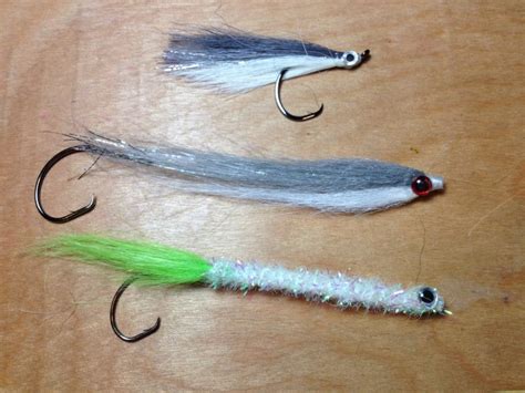 Longnose Gar And Gar Flies