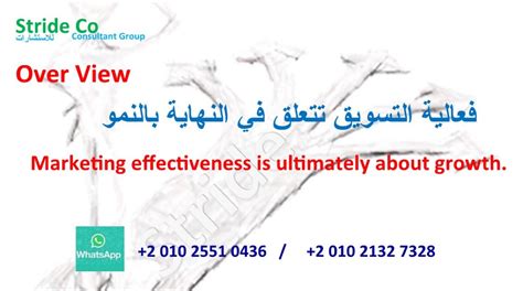 Dr Mohamed Abdel Moez Posted On Linkedin