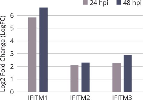 Relative Expression Of Ifitm Genes In Influenza A Infected Wi 38 Va 13
