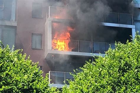 Most Shocking Celebrity Sex Tapes Including Katie Price Kim Kardashian And Amir Khan Mirror