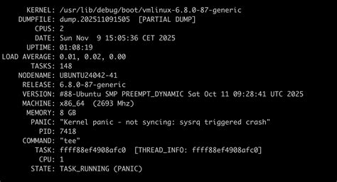 Kernel Debugging With Crash Introduction By Chelsy Ratnawat Medium