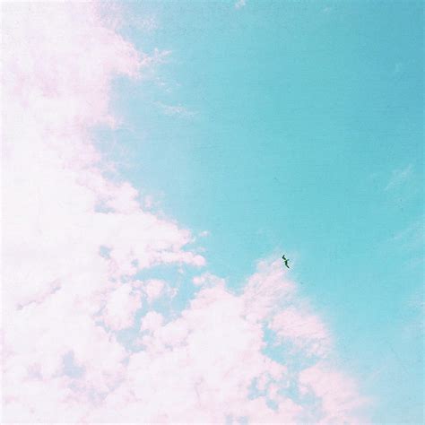 Sky On Fire Photograph By Cassia Beck Pixels