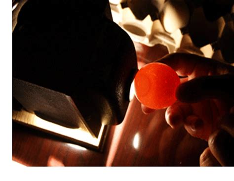 Egg Candling Certification Georgia Department Of Agriculture