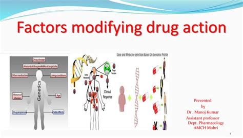 Factors Modifying Drug Action New 2023 Pptx