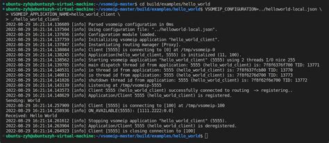 第一个vsomeip demo：hello world ubunut 安装vsomeip csdn博客