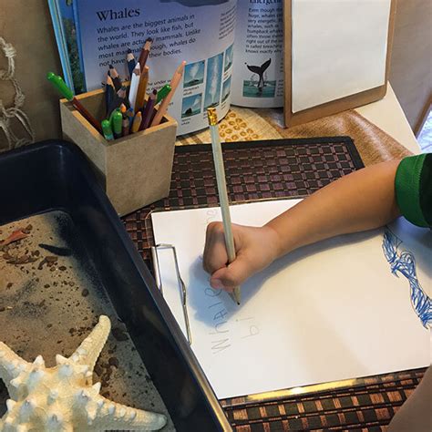 What Is A Learning Provocation — My Teaching Cupboard