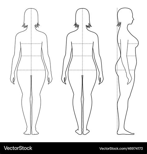 Female Human Body Outline Front And Back
