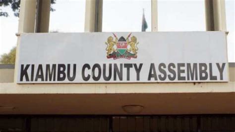 Kiambu County Logo The Kiambu County Youth Innovation And