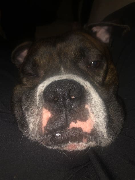 Just A Squish Face Album On Imgur