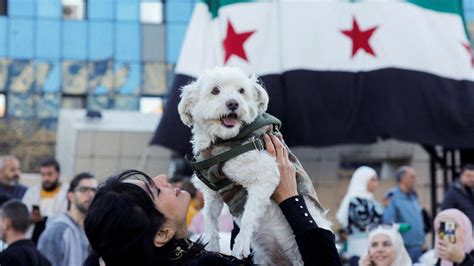 In Pictures Syrians Celebrate Toppling Of Assad Regime World News