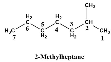 Methyl Heptane Propyl Structure Iso Draw Sketch Coloring Page