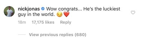 Priyanka Chopra And Nick Jonas Engagement Party Alia Bhatt And The Ambanis Lead Celeb Roll Call