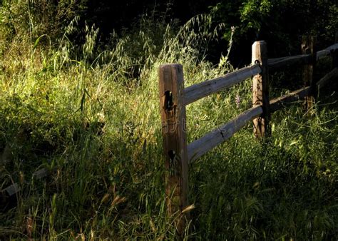 A Wooden Fence Is Seen Next To A Field Of Grass In Bidwell Park California Stock Image Image