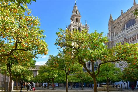 Gli Aranci Di Siviglia Spagna Viaggi Olfattivi Ecco Dove Andare In Italia E Allestero
