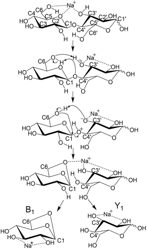 Modified From Rabus Et Al 2017 Download Scientific Diagram