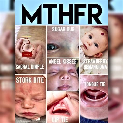 Stephanie Plake Robinson