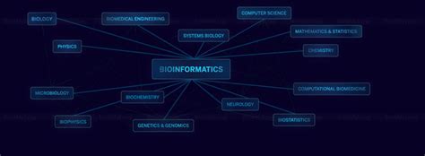 bioinformatics assignment help for better score in university exams