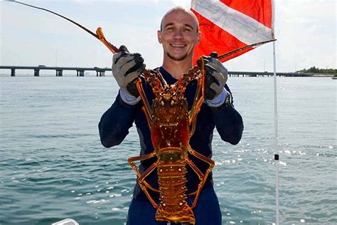 Lobster Hunters Get Ready As 2025 Spiny Season Nears