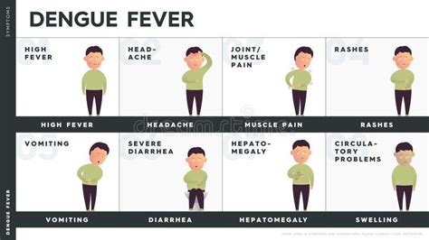 Vector Infographic Describing The Symptoms Of Dengue Fever Character