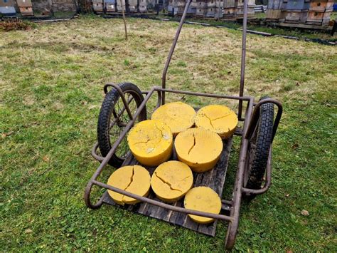 Work Of A Beekeeper Melting Old Dark Wax Combs Full Of Diseases In A