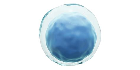 Lymphocyte Levels Monthly Monitoring • The Blood Project