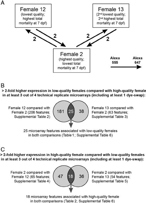 Overview Of 20 K Microarray Experimental Design And Results A Arrows Download Scientific