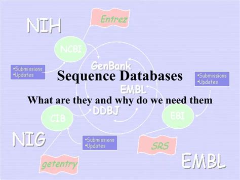PPT Sequence Databases PowerPoint Presentation Free Download ID