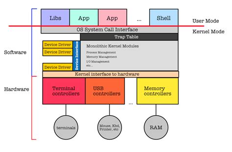 Os Structure T5 Notes 2022