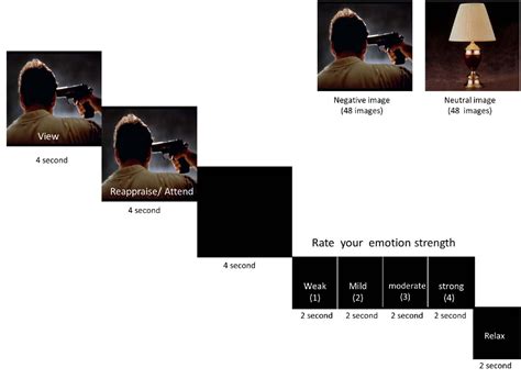 Figure 1 From Neural Activation During Cognitive Reappraisal In Girls At High Risk For