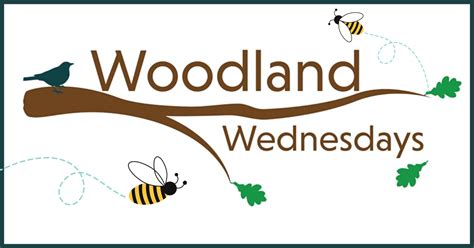 Woodland Wednesday Trees For Bees Geauga News