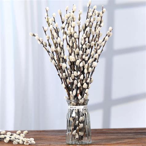 Topboutique 20 Stems Dried Pussy Willow Branches Dried Flower Stems 15
