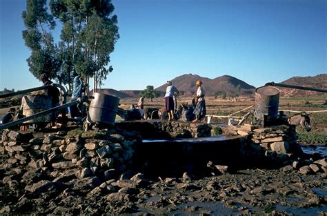 Facts About Sanitation In Eritrea The Borgen Project