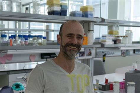 El Investigador Del Ihsm La Mayora Pablo Manavella Nuevo Editor En Jefe De La Revista The Plant