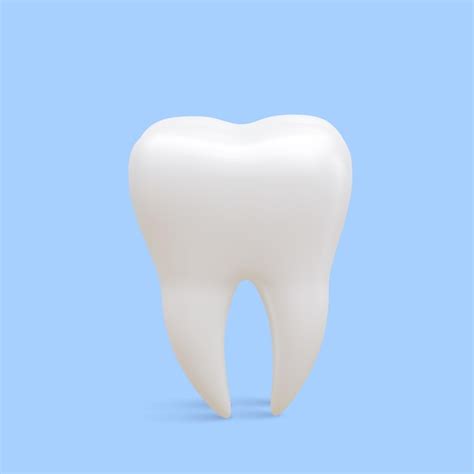 Premium Vector Realistic Tooth Isoleted On Blue Background Concept Of
