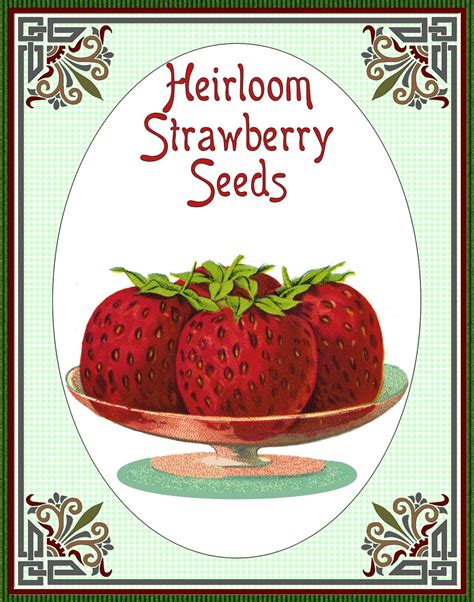 Vintage Seed Packets Vegetable Seeds Packets Seeds Strawberry Seed