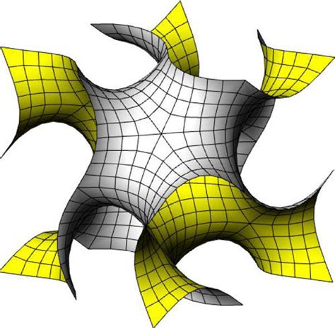 Two Types Of Triply Periodic Minimal Surfaces A Schoens Gyroid And Download Scientific