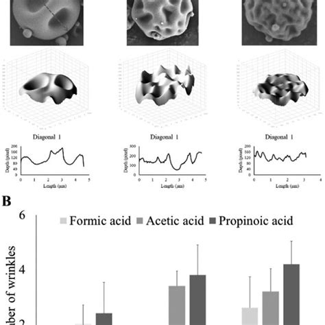 Imaging Analysis Of Corrugated Microparticles Using Image J Software