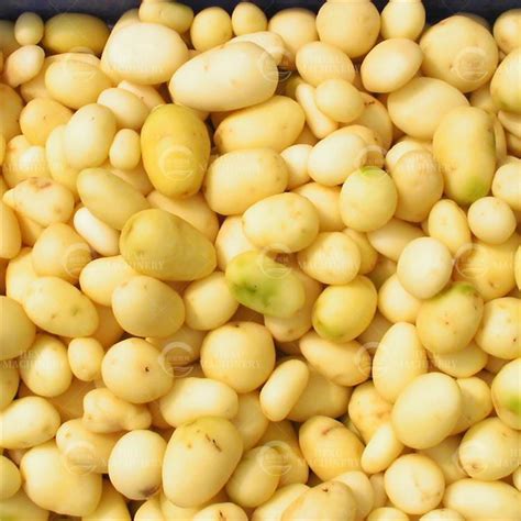 French Fries Potato Fashion And Peeling Machine Potato Crisps Cutter