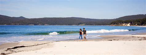 Adventure Bay Bruny A Guide To Bruny Island Tpayw