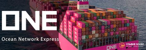One Ocean Network Express Overview