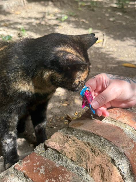 Kassi Clifford Stuber Added A New Kassi Clifford Stuber