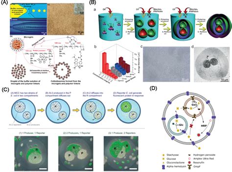 The Manufacturing Of Sophisticated Cell‐inspired Systems Based On