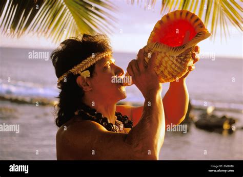 Hawaii Shell Guide