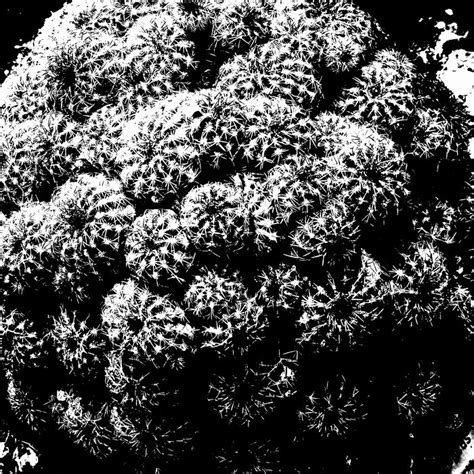 Out Of My System Beilmann