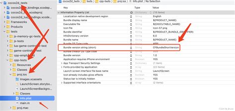 Xcode12 编译 Cocos2d报错the Applications Infoplist Does Not Contain A Va Csdn博客