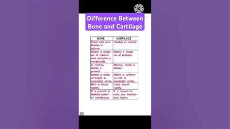 Difference Between Bone And Cartilagebonecartilagebiology