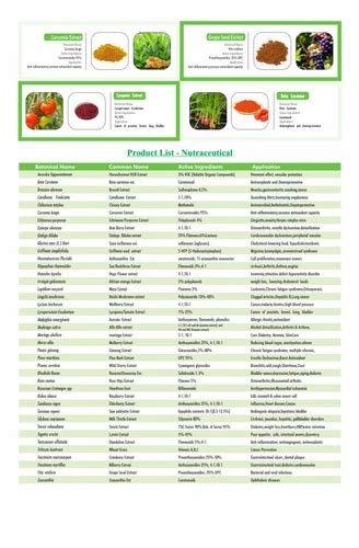 Pipali Landi Pipal Extract Packaging Type Hdpe Drum At Rs 425 Kg In
