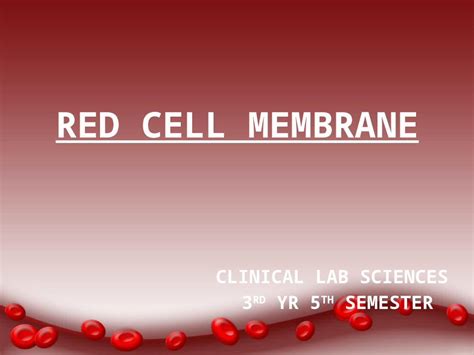 Pptx Red Cell Membrane Dokumentips