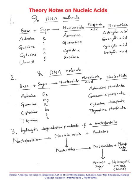 Theory Notes On Nucleic Acids Pdf
