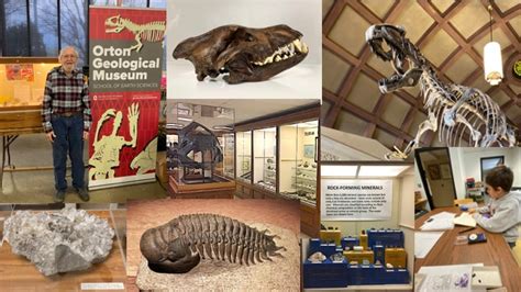 Whats New At The Orton Museum Orton Geological Museum